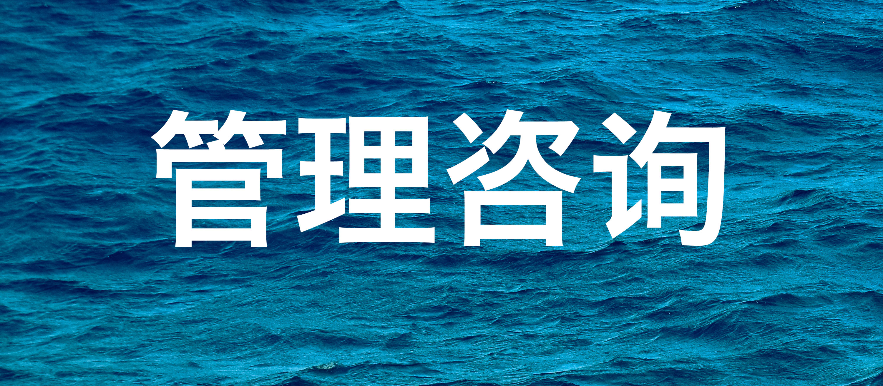 管理咨询 - 我们为您保驾护航。 | bdp 团队